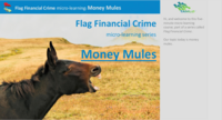 Money Mules - Flag Financial Crime | Tamlo International Canada