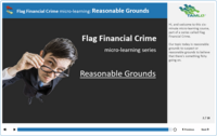 Reasonable Grounds - Flag Financial Crime | Tamlo International Canada
