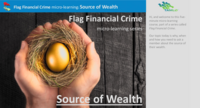 Source of Wealth - Flag Financial Crime | Tamlo International Canada