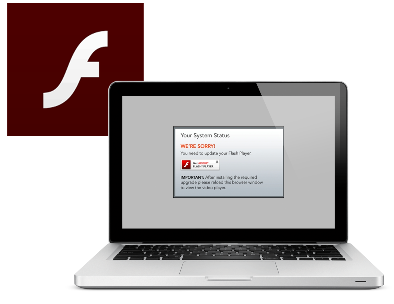 Support | Start Safe Training