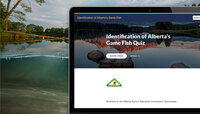Identification of Alberta's Game Fish Quiz | AHEIA